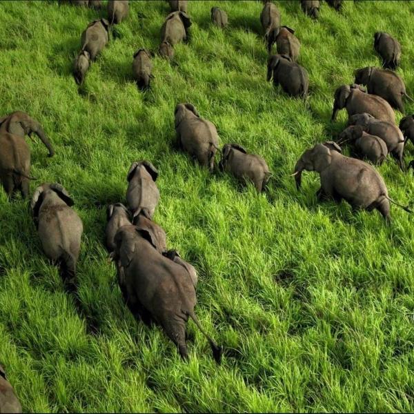 Social Responsibility – SHIELD SIGHTS